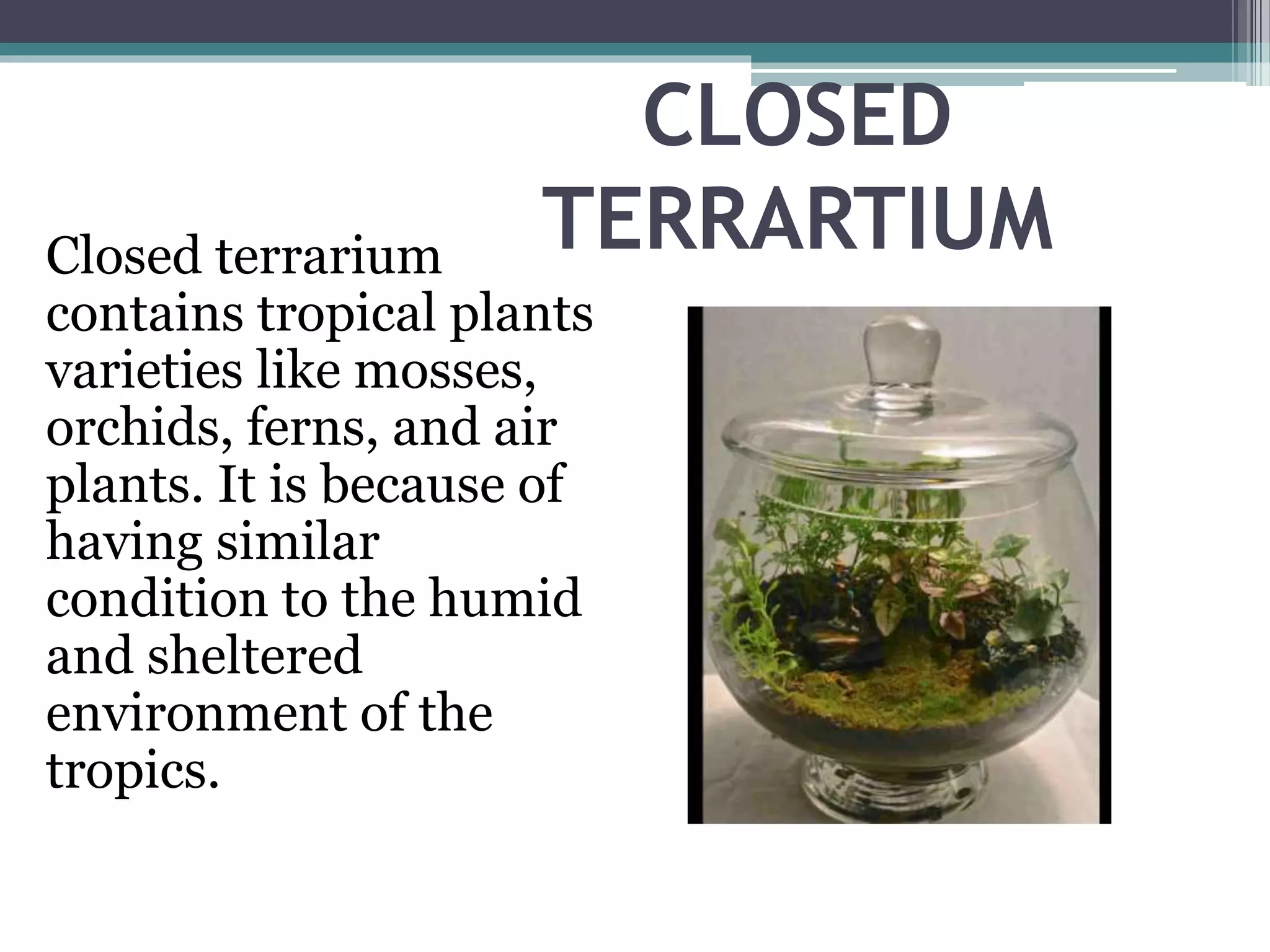 Terrarium | PPTX