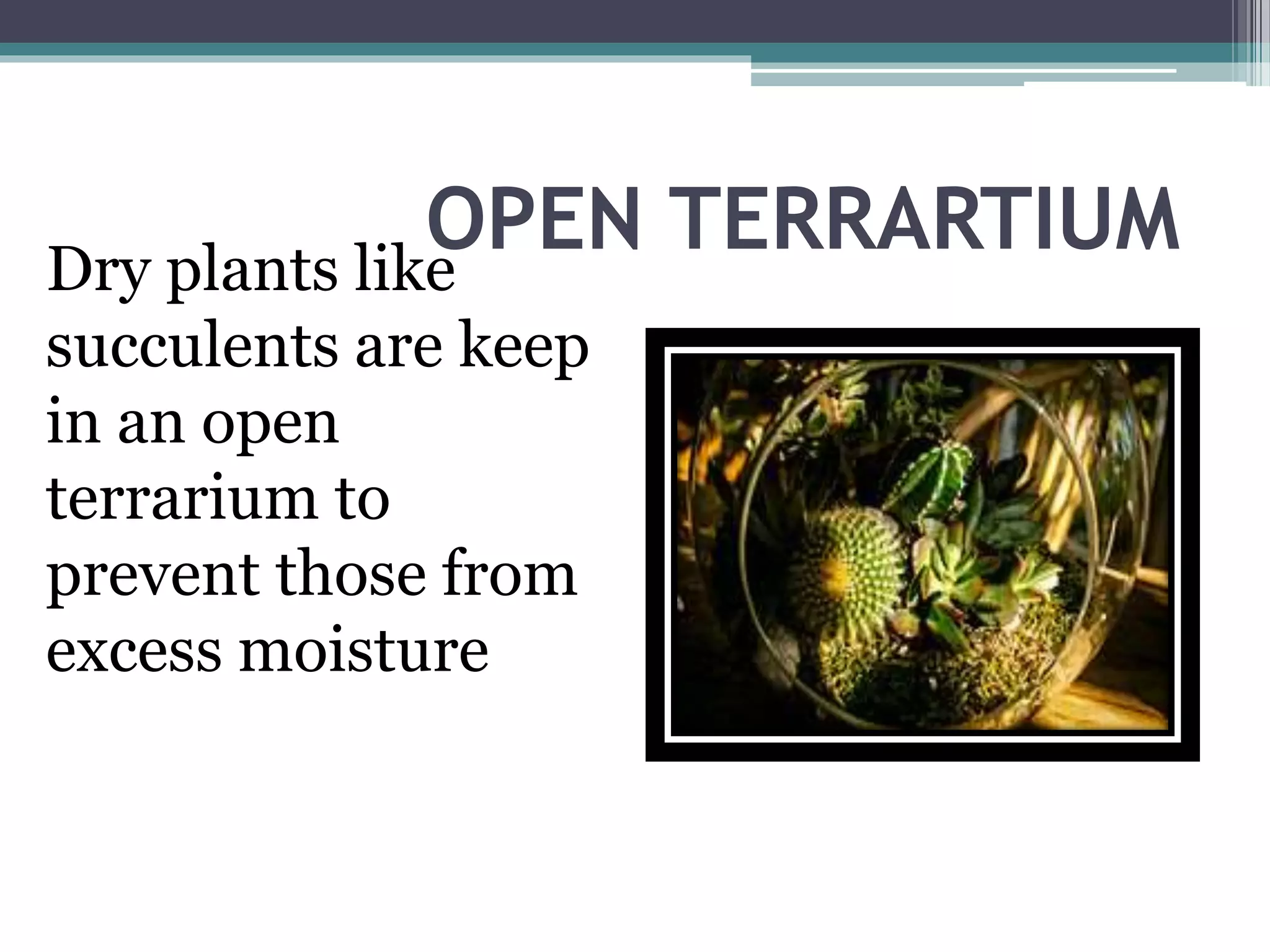 Terrarium | PPTX