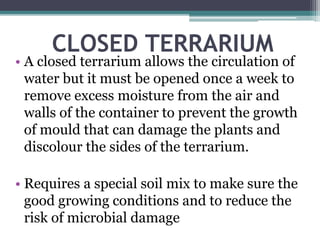 Terrarium | PPTX