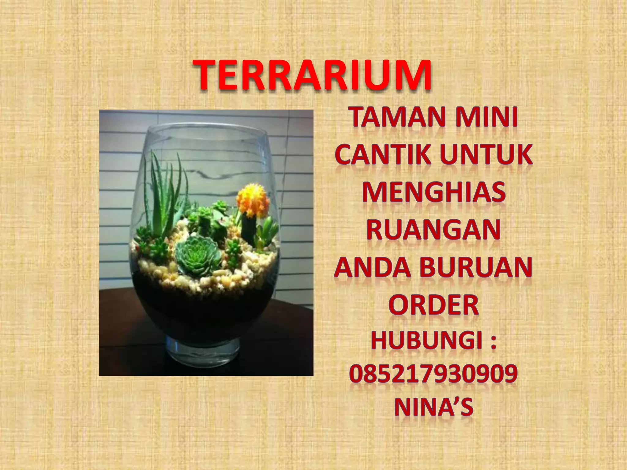 Terrarium | PPTX