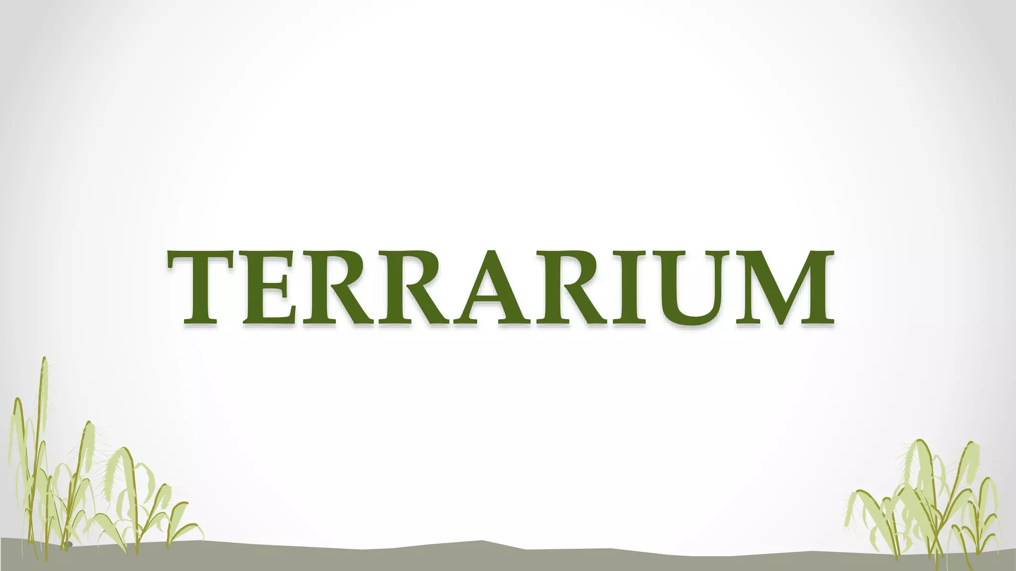 Terrarium | PPTX
