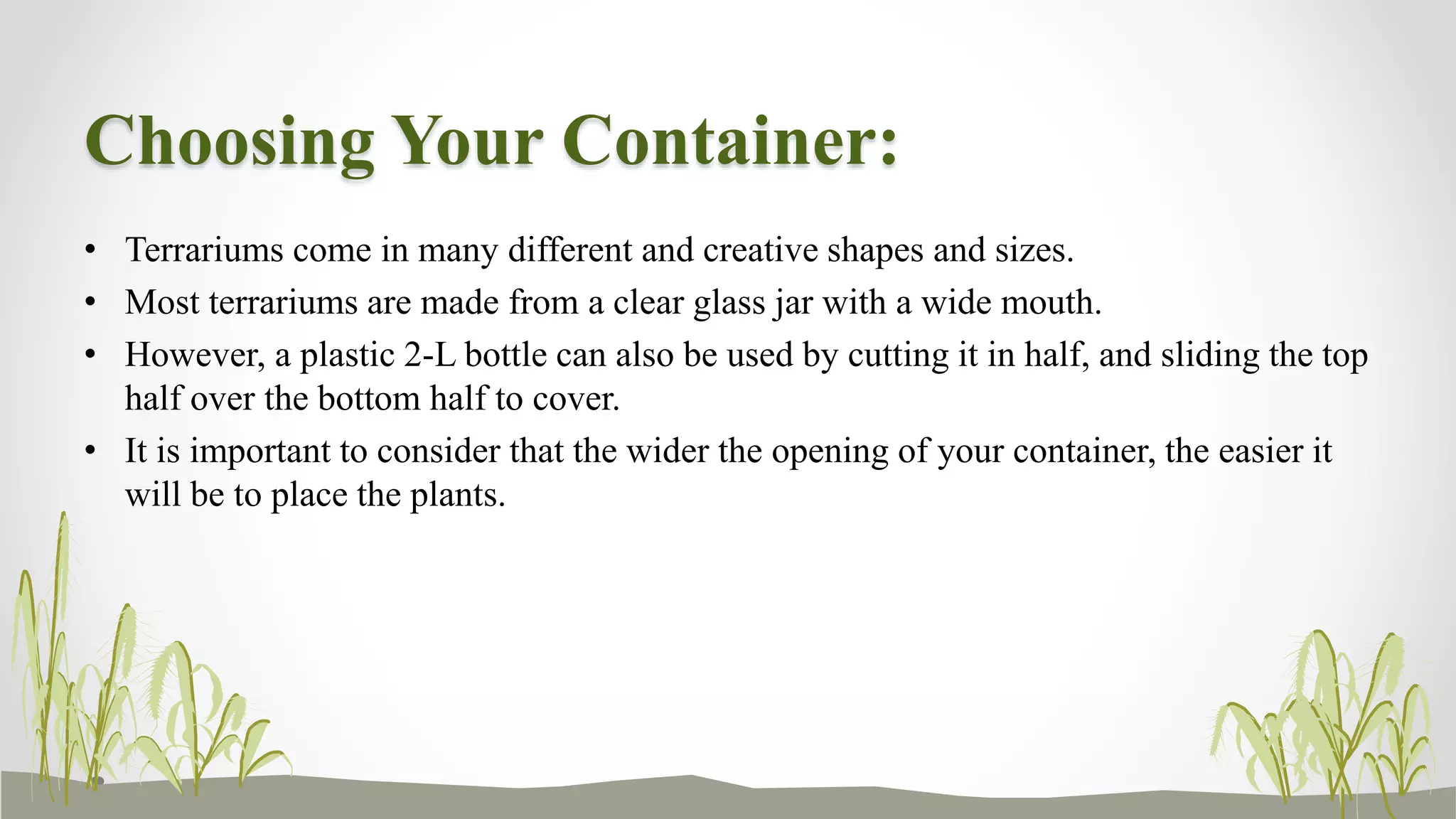 Terrarium | PPTX