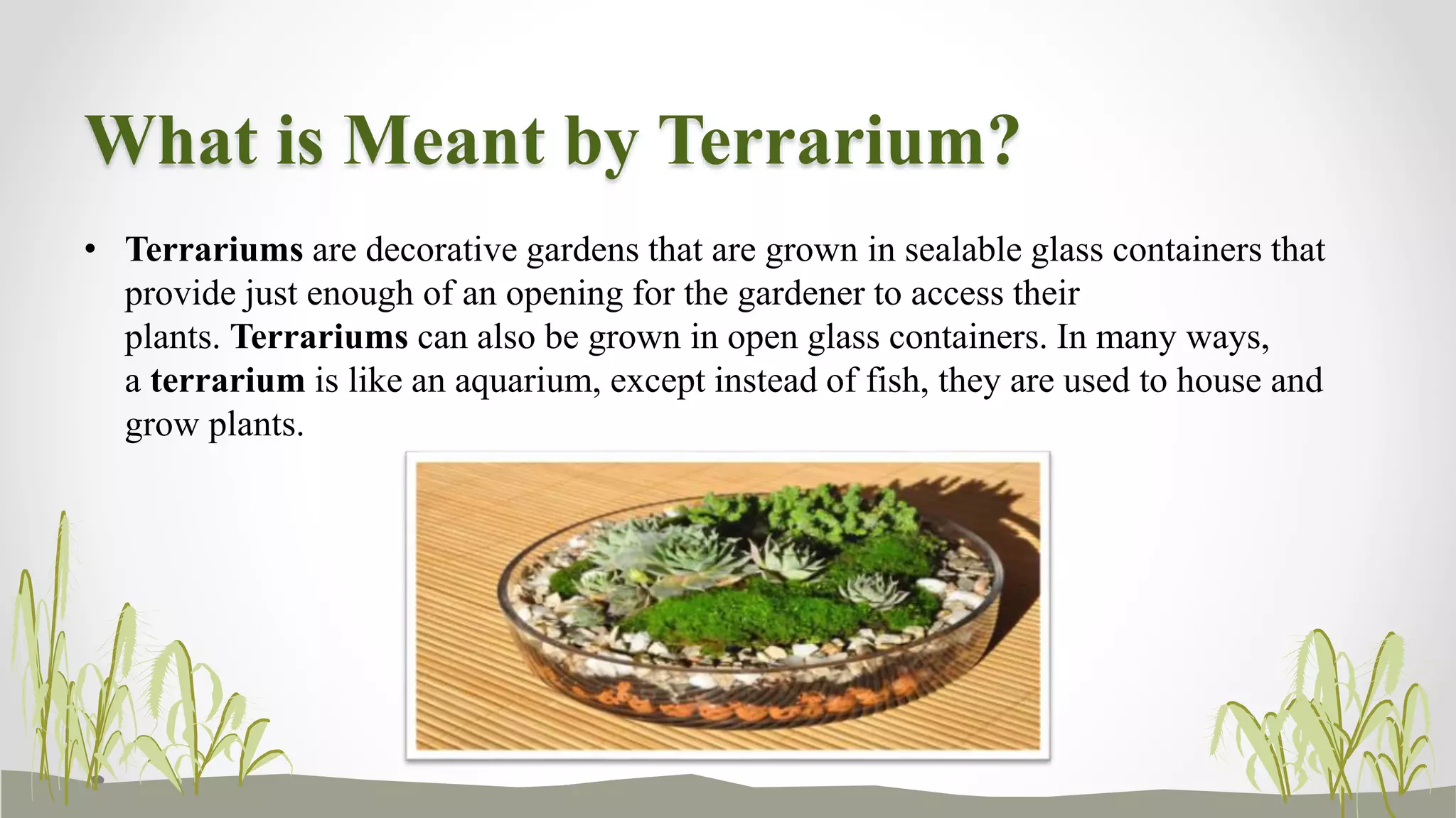 Terrarium | PPTX