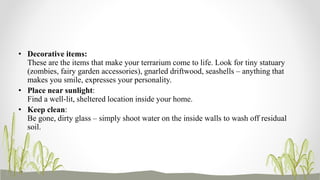 Terrarium | PPTX