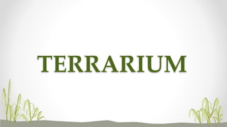 Terrarium | PPTX