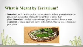 Terrarium | PPTX
