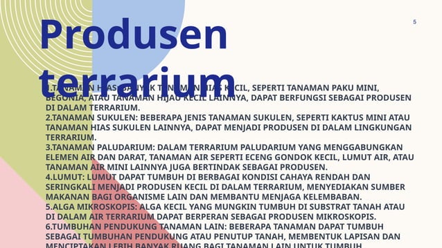 Terrarium.pptxejfrhbgkehbgkbkthbkjbkhbvkhtbkehrghgrhr | PPTX