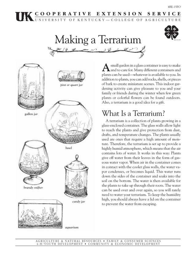 TERRARIUM GUIDE 2- TLE Horticultural crop production.pdf
