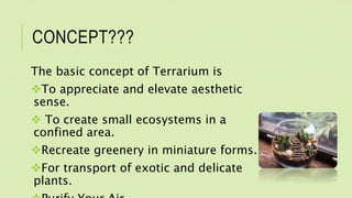 Terrarium - A plant in a glass bowl- home interiors | PPT