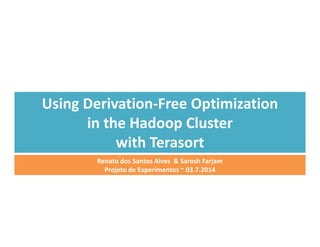 Using Derivation-Free Optimization Methods in the Hadoop Cluster with Terasort | PPT