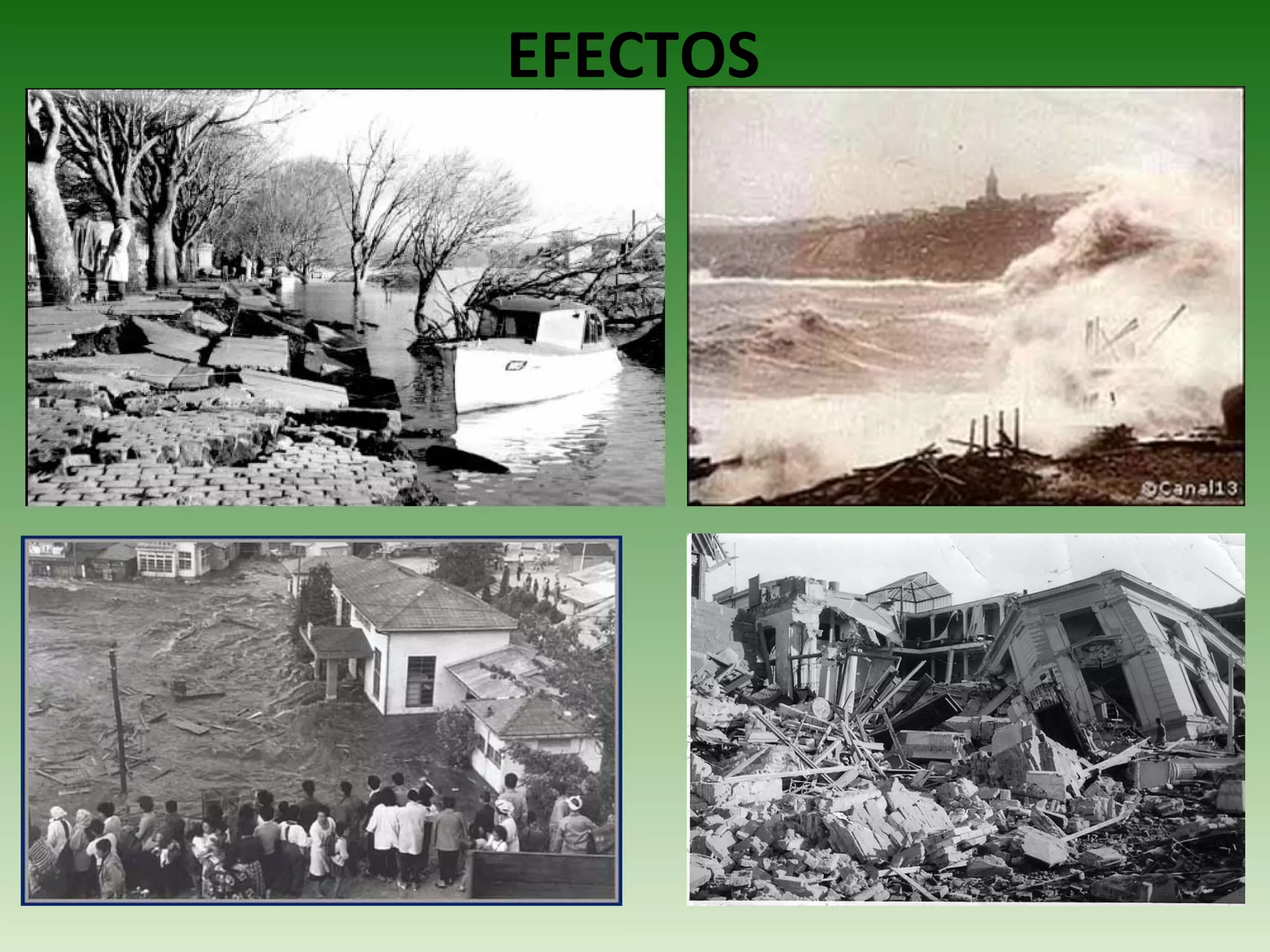 Terremoto de Valdivia | PPS