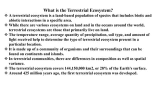 terrestial ecosystem.pptx | Environment | Science