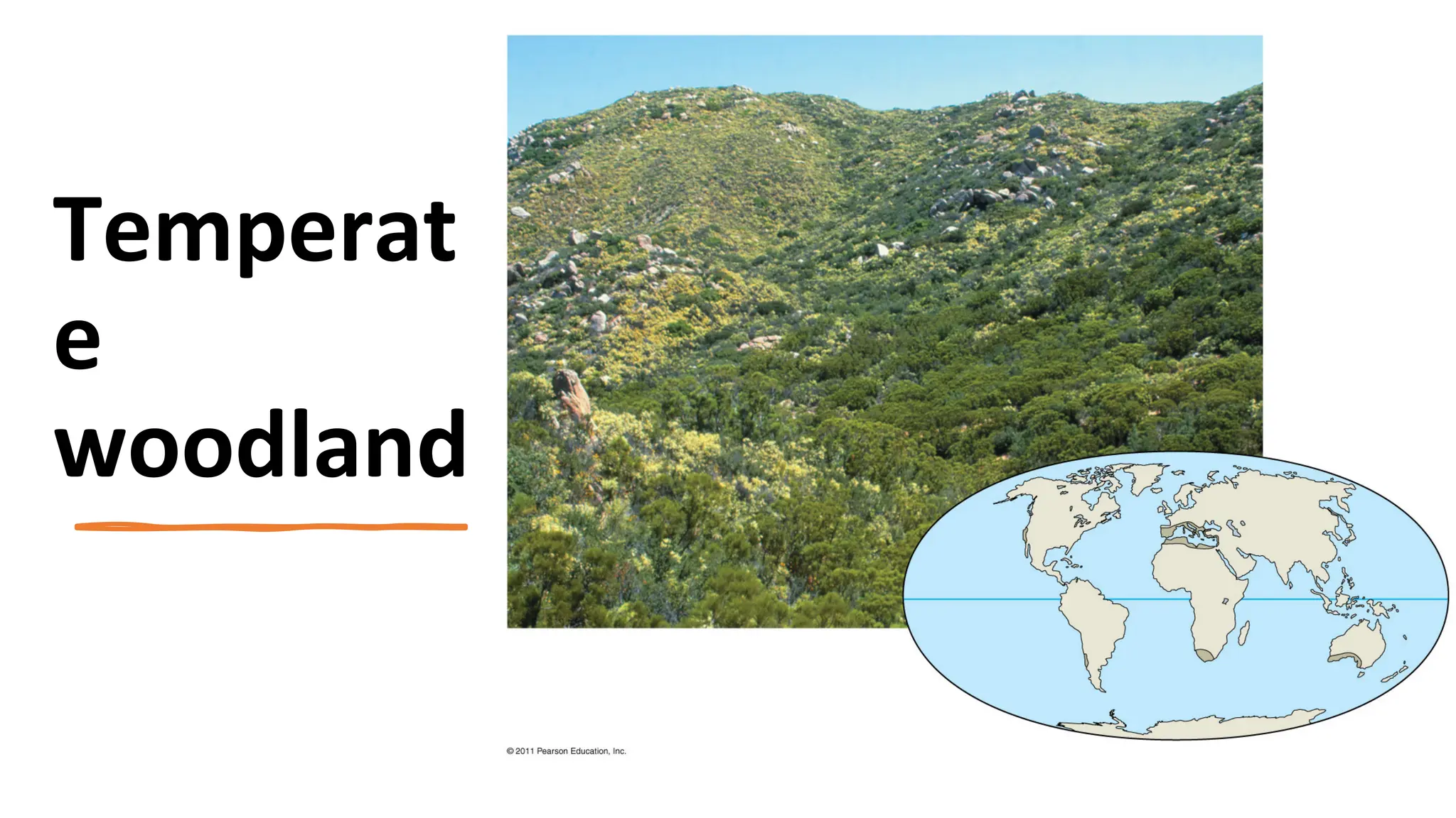 TERRESTRIAL-BIOME-TYPES-AND-IMPACTS-.pdf