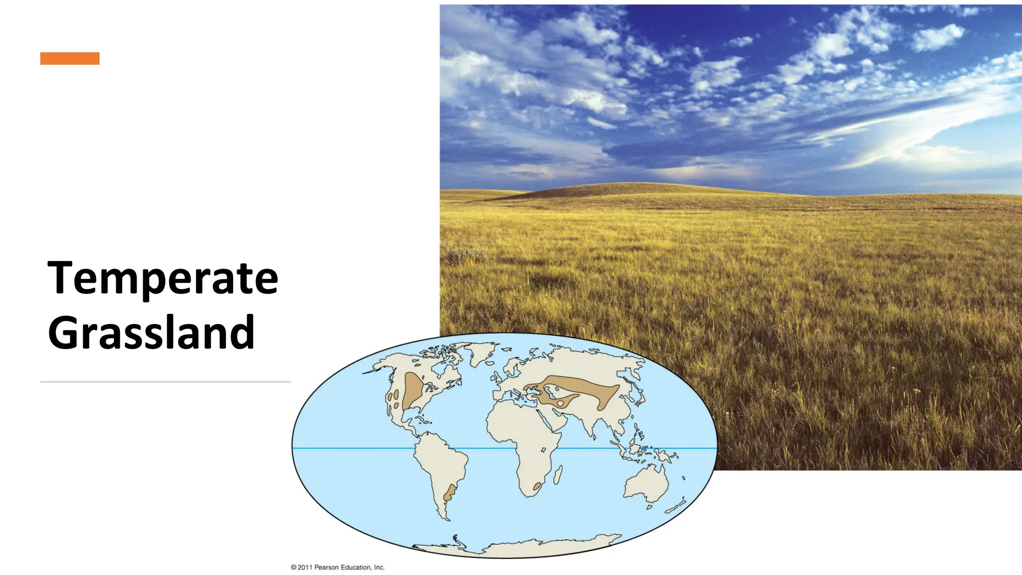 TERRESTRIAL-BIOME-TYPES-AND-IMPACTS-.pdf