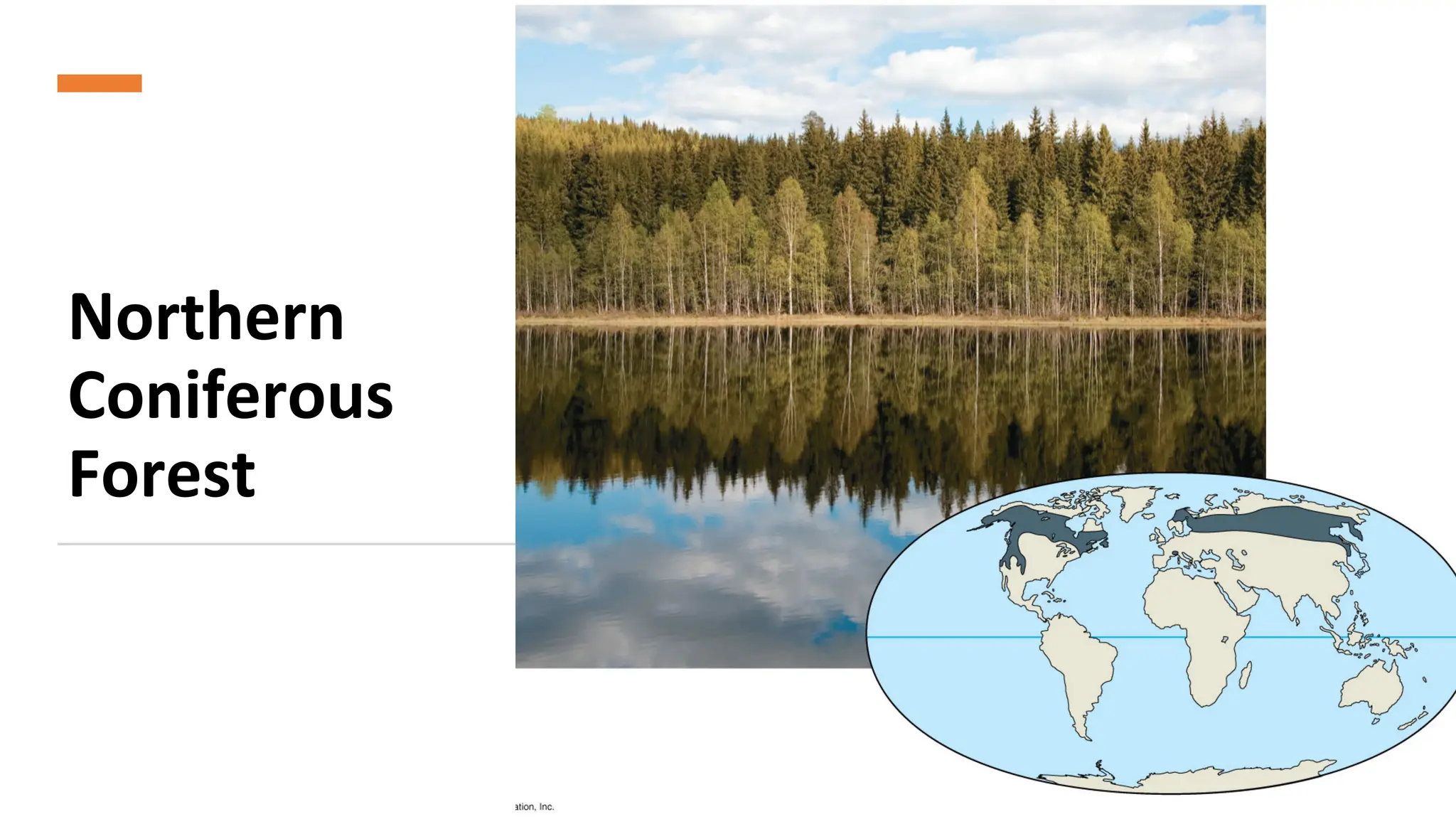 TERRESTRIAL-BIOME-TYPES-AND-IMPACTS-.pdf