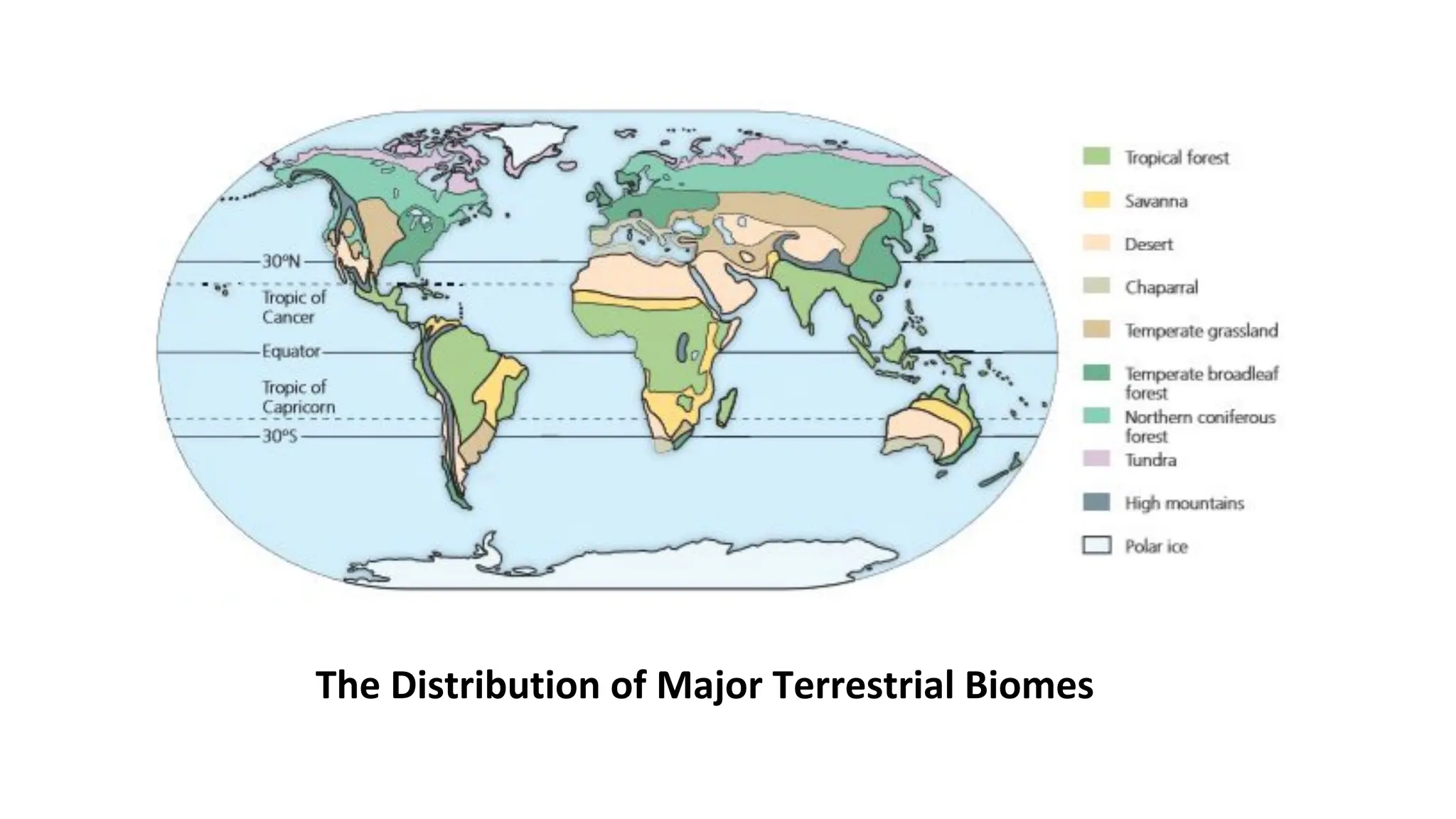 TERRESTRIAL-BIOME-TYPES-AND-IMPACTS-.pdf