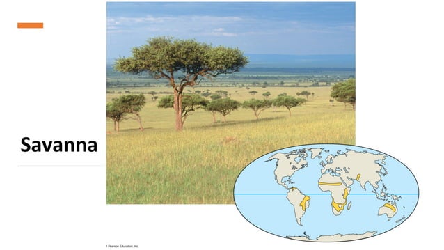 TERRESTRIAL-BIOME-TYPES-AND-IMPACTS-.pdf