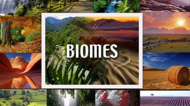 TERRESTRIAL-BIOME-TYPES-AND-IMPACTS-.pdf