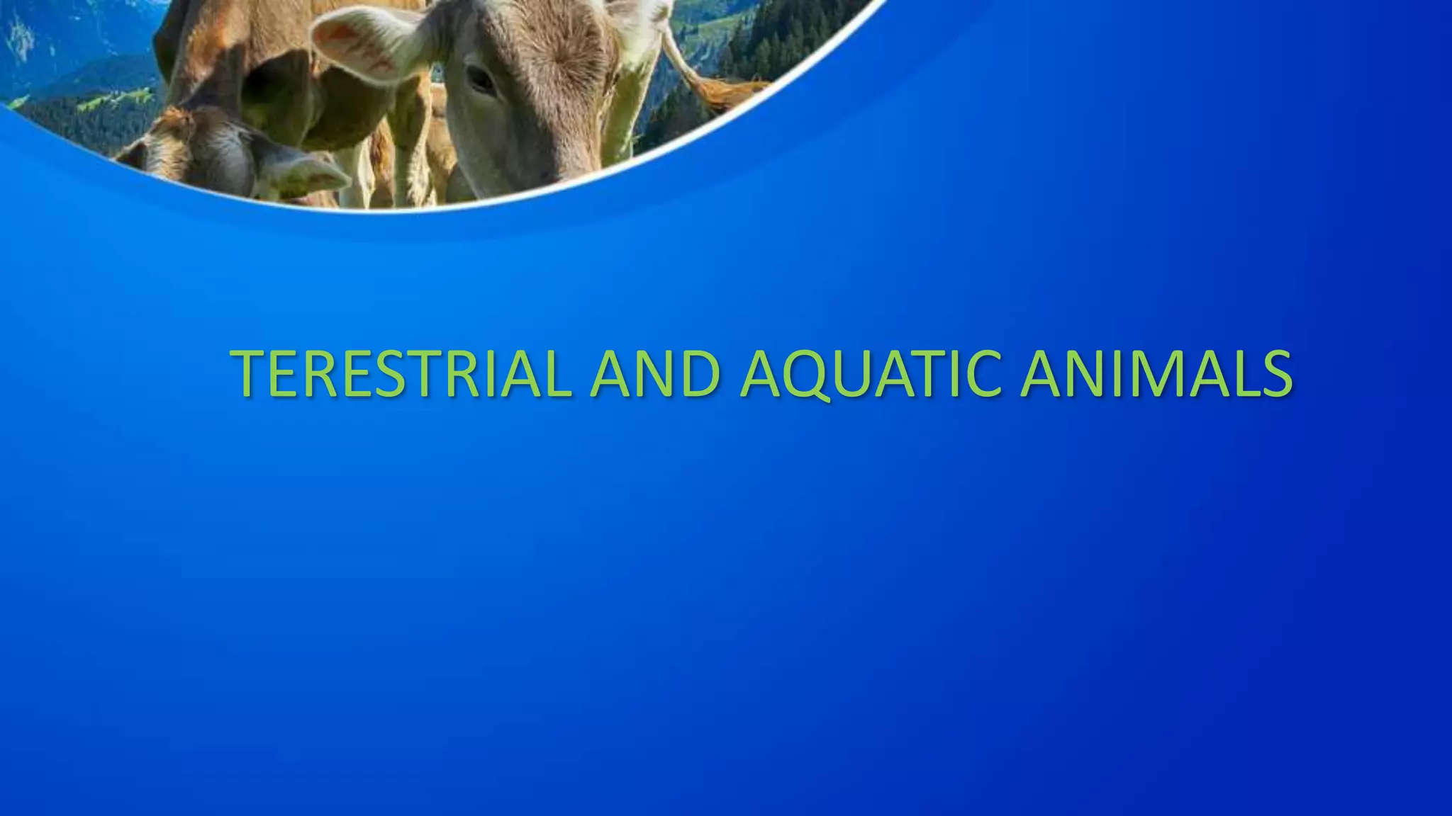 Terrestrial and aquatic animals | PPTX
