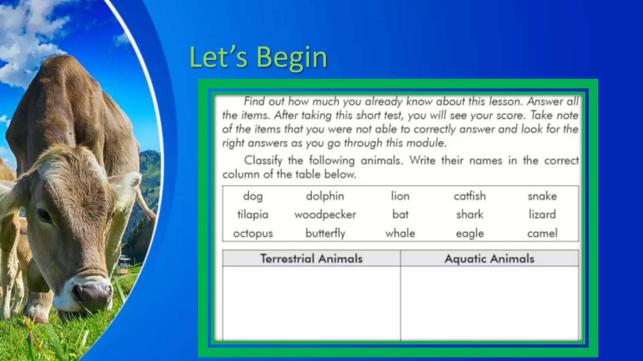 Terrestrial and aquatic animals | PPTX