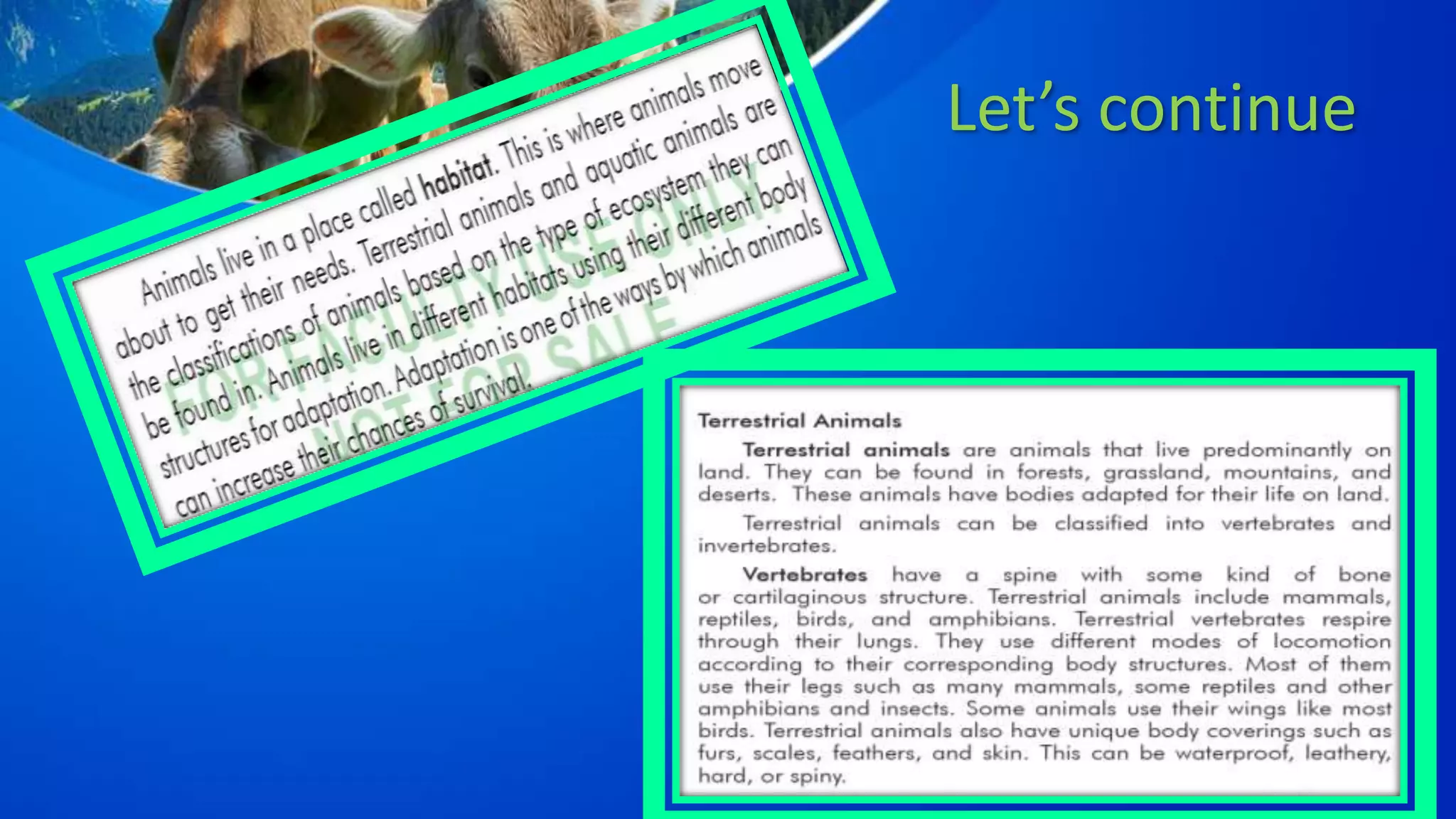 Terrestrial and aquatic animals | PPTX