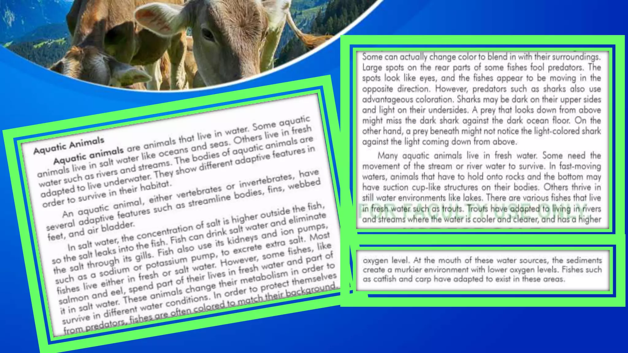 Terrestrial and aquatic animals | PPTX