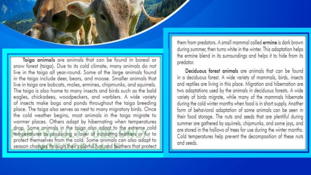 Terrestrial and aquatic animals | PPTX