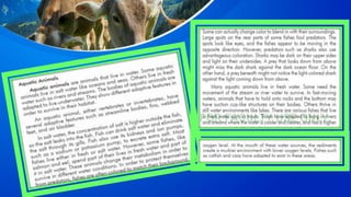 Terrestrial and aquatic animals | PPTX