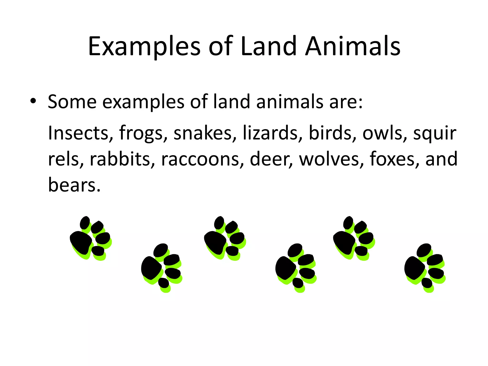 Terrestrial and Aquatic Food Chains | PPTX