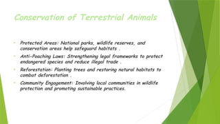 Terrestrial and Aquatic Habitats comapariacdgashjasvdsjx.pptx
