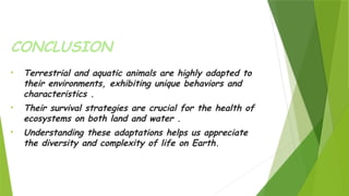 Terrestrial and Aquatic Habitats comapariacdgashjasvdsjx.pptx