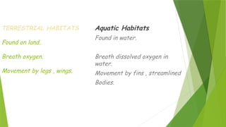 Terrestrial and Aquatic Habitats comapariacdgashjasvdsjx.pptx