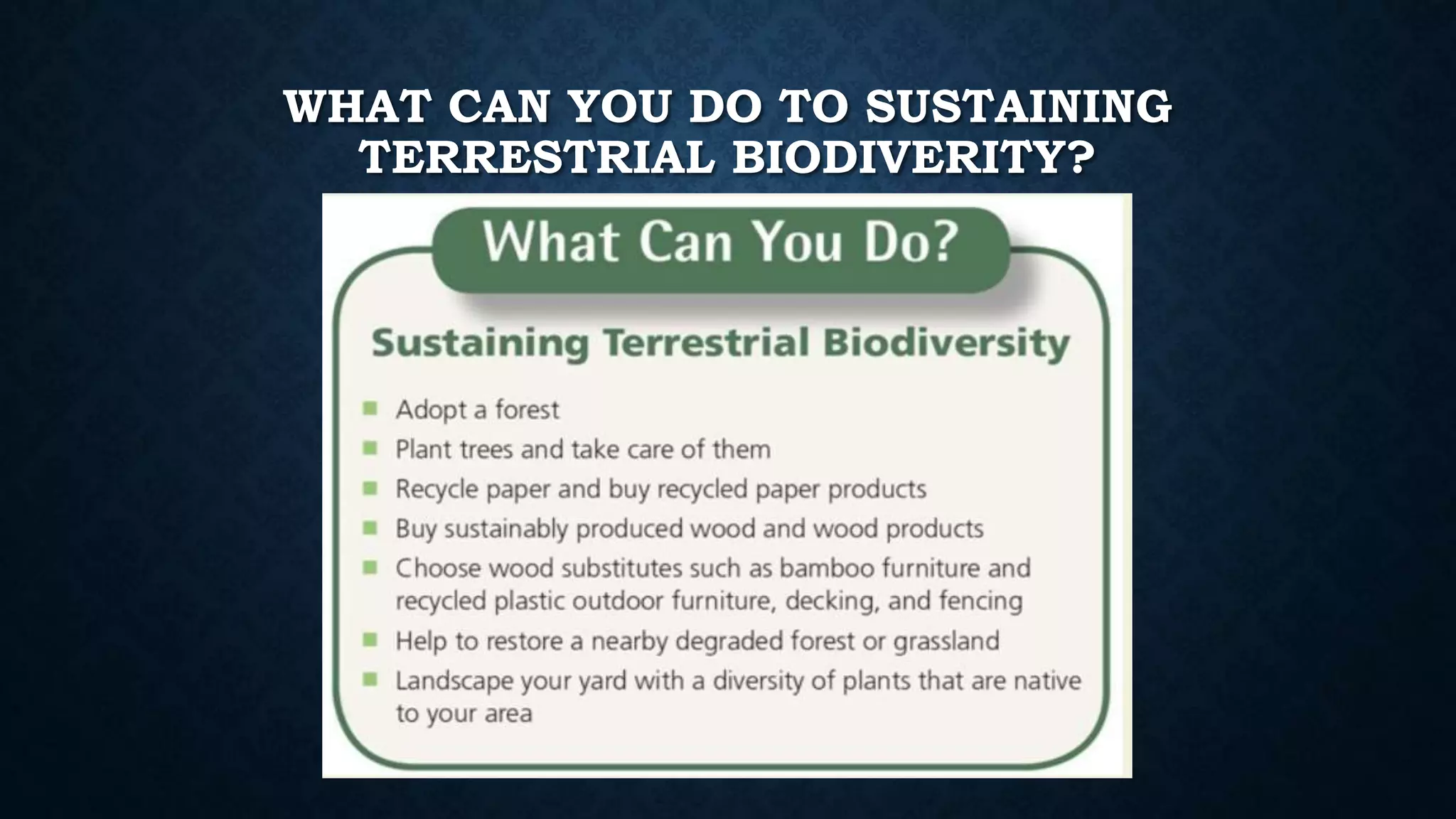 Terrestrial Biodiversity (Sustainable Development) | PPTX
