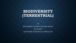 Terrestrial Biodiversity (Sustainable Development) | PPTX