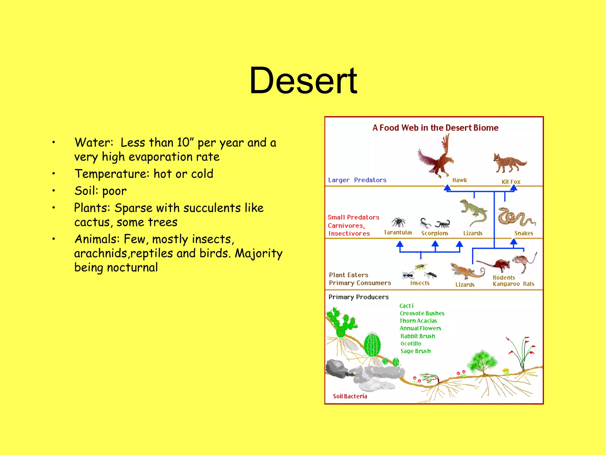 Terrestrial Biomes | PPT
