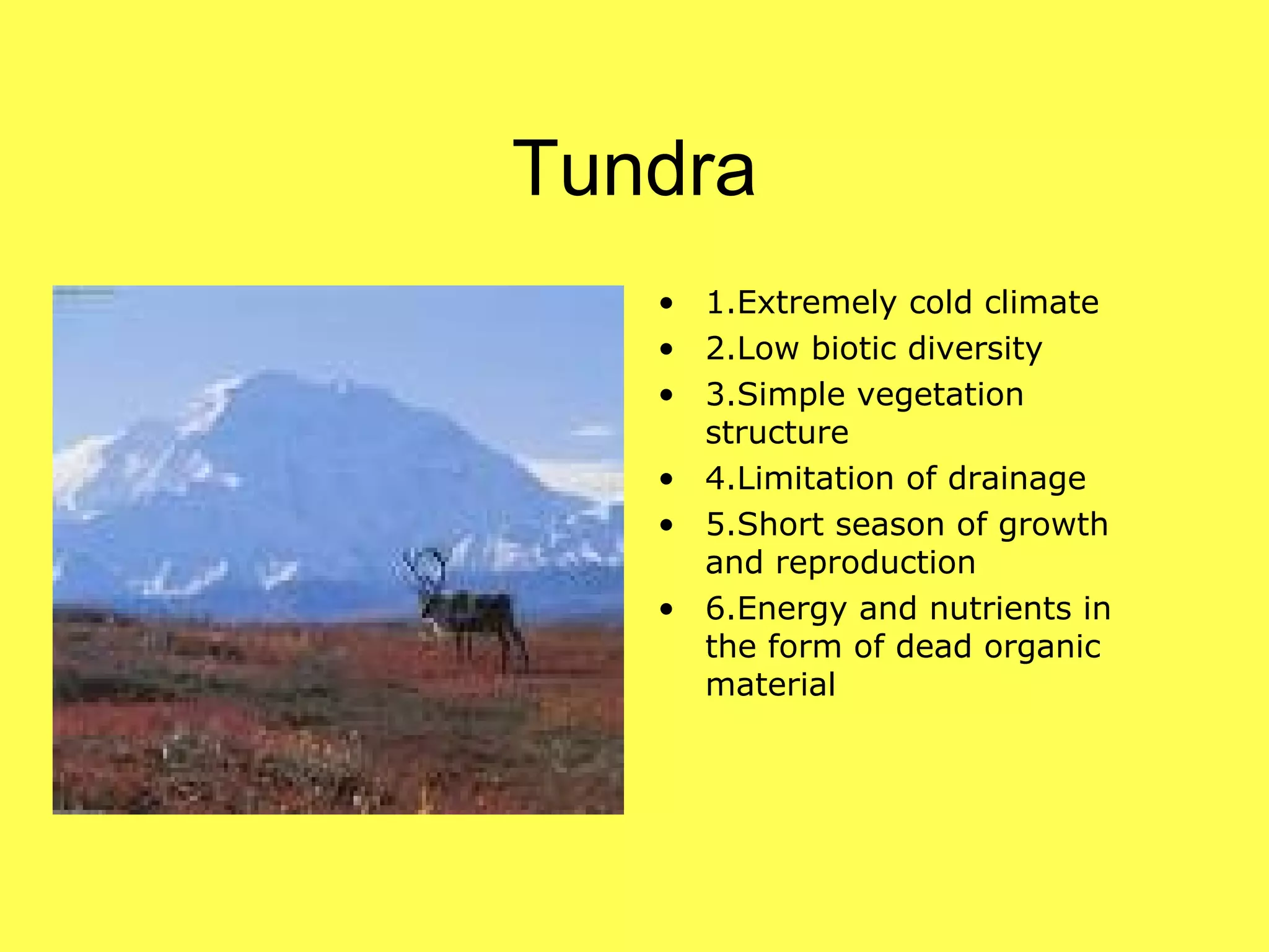 Terrestrial Biomes | PPT
