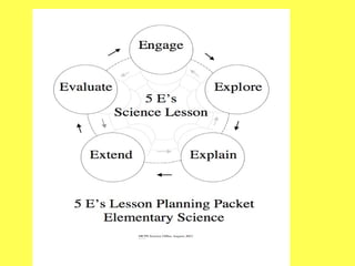 Terrestrial Biomes | PPT