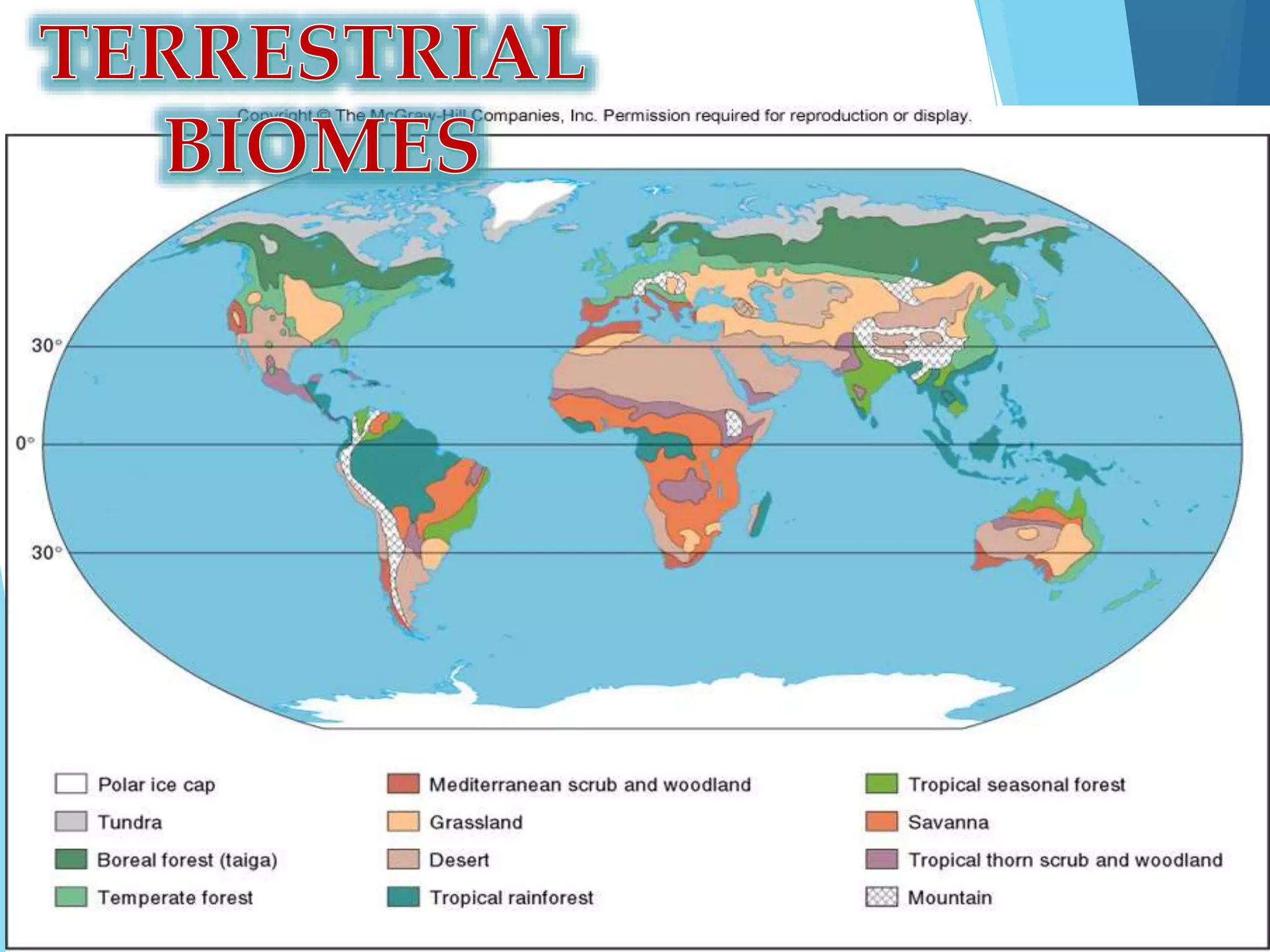 Terrestrial Biomes | PPTX
