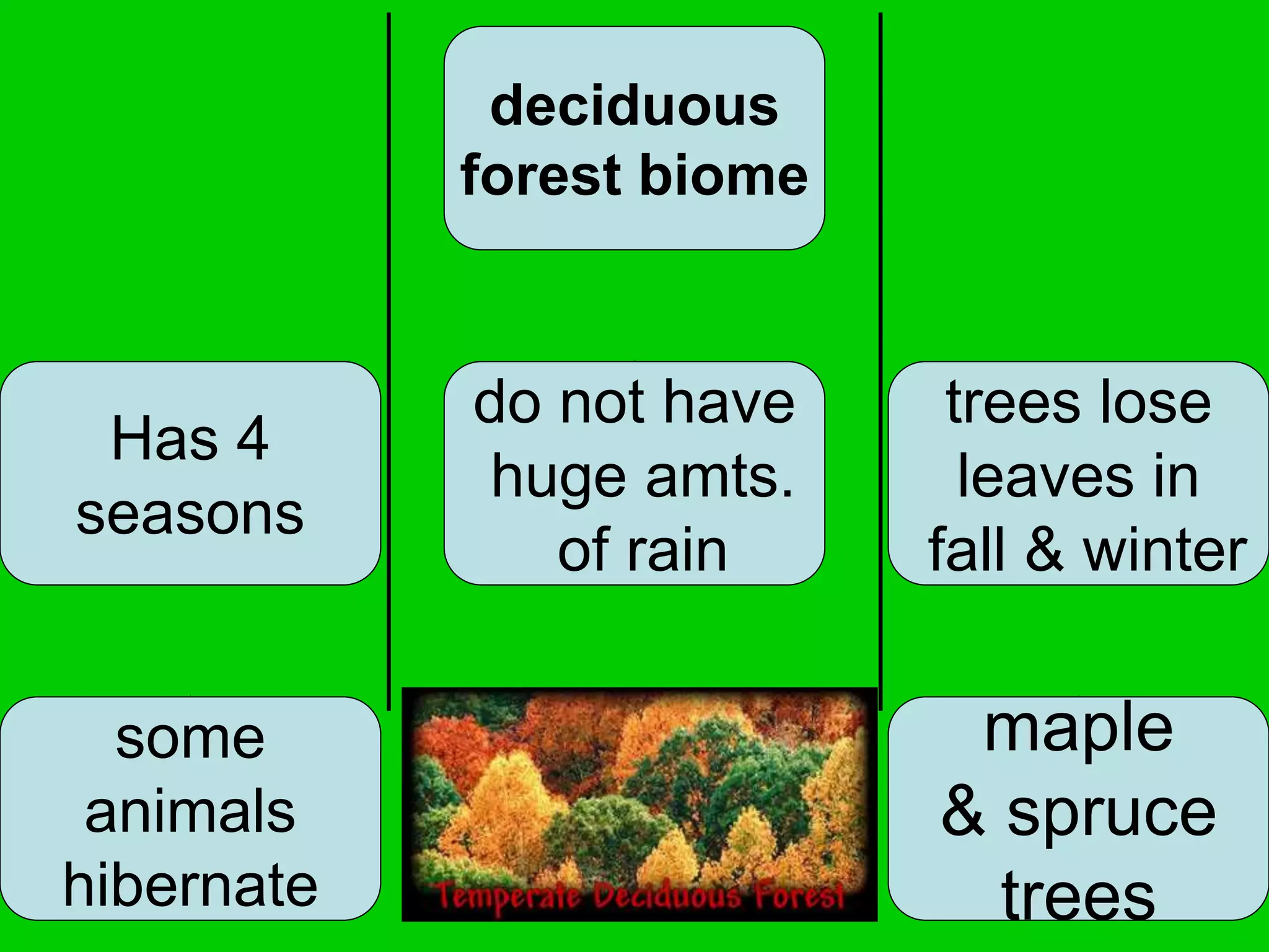 Terrestrial biomes | PPTX