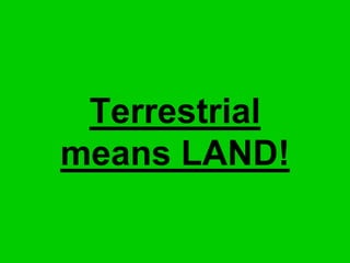 Terrestrial biomes | PPTX