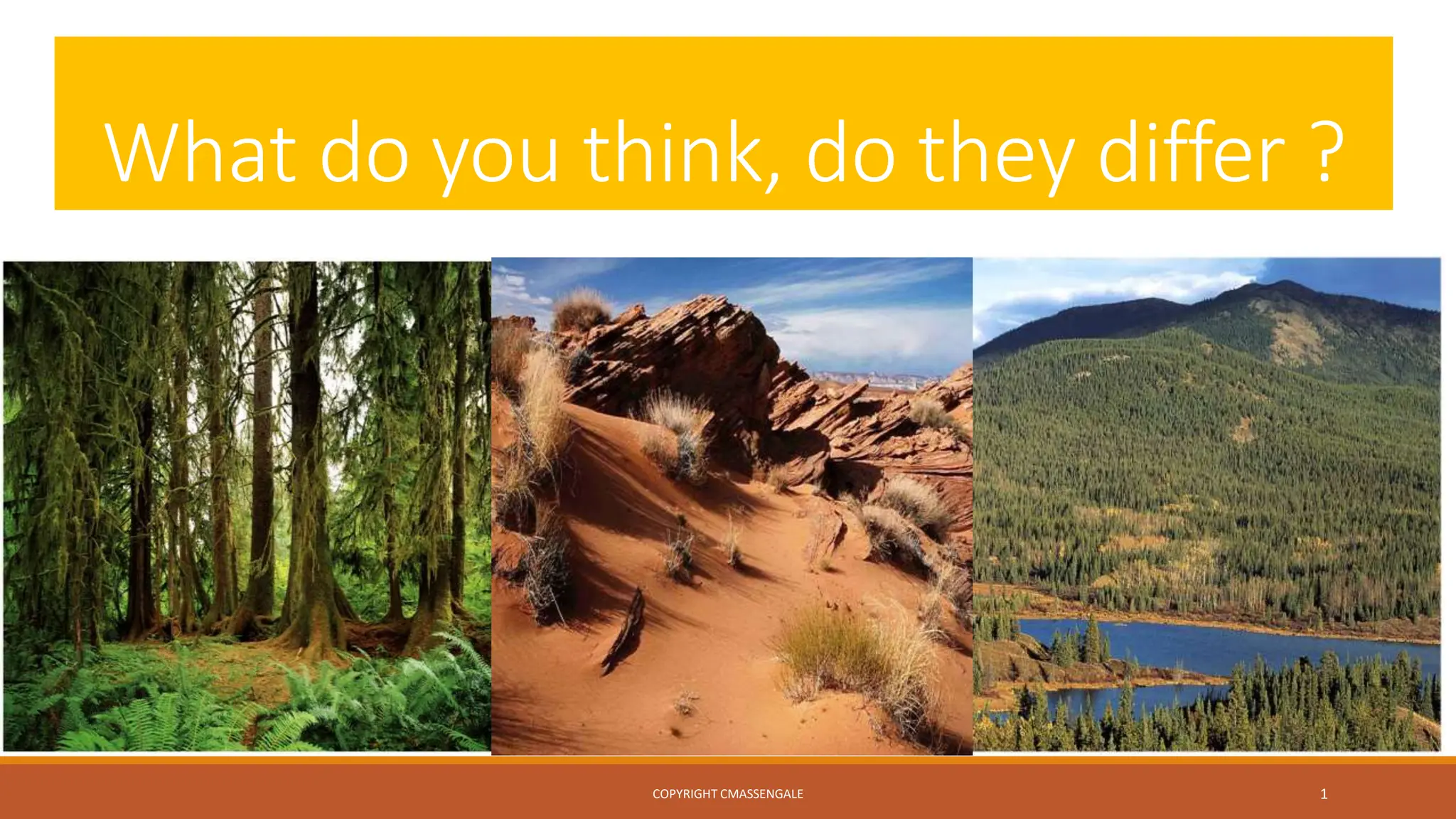 Terrestrial Biomes.ppt