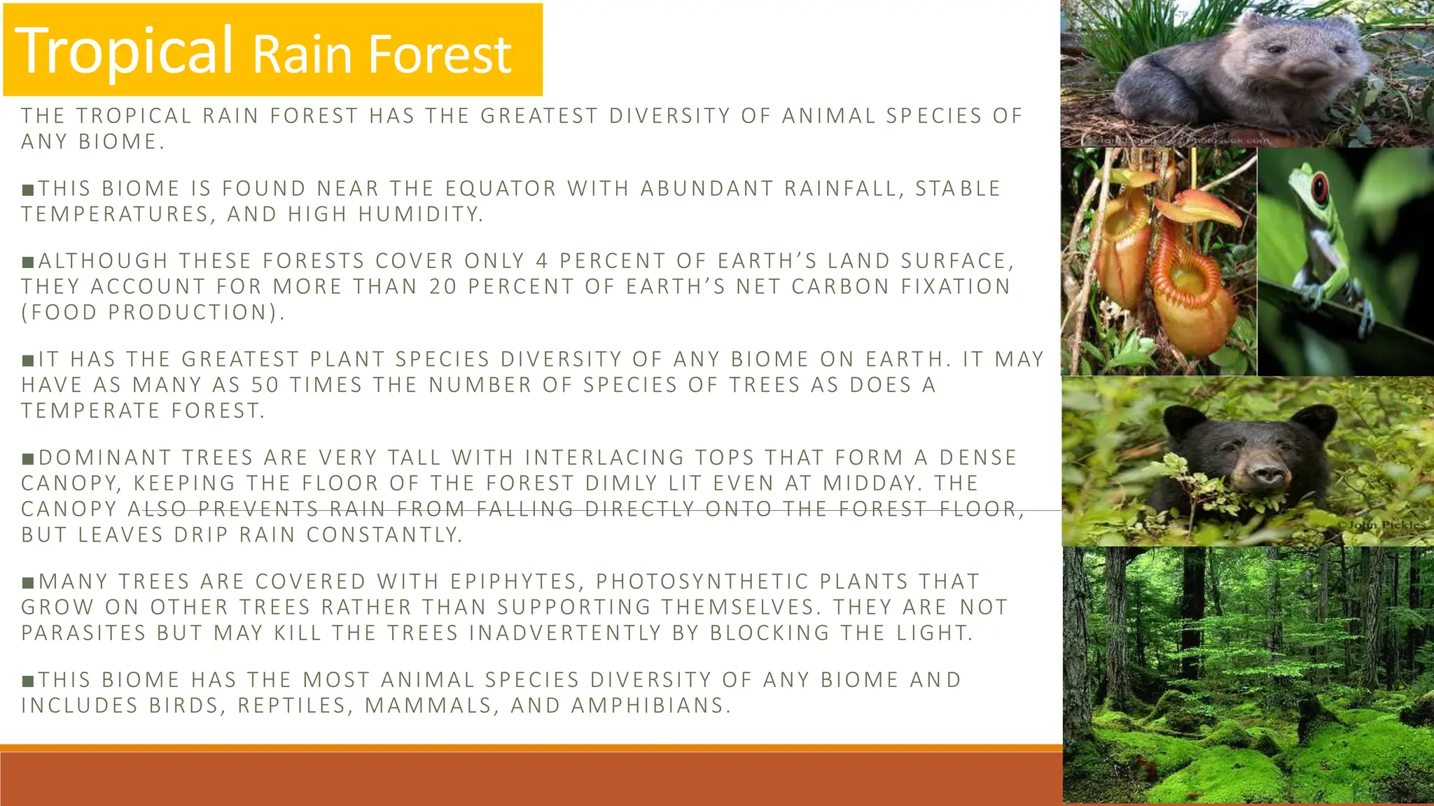 Terrestrial Biomes.ppt