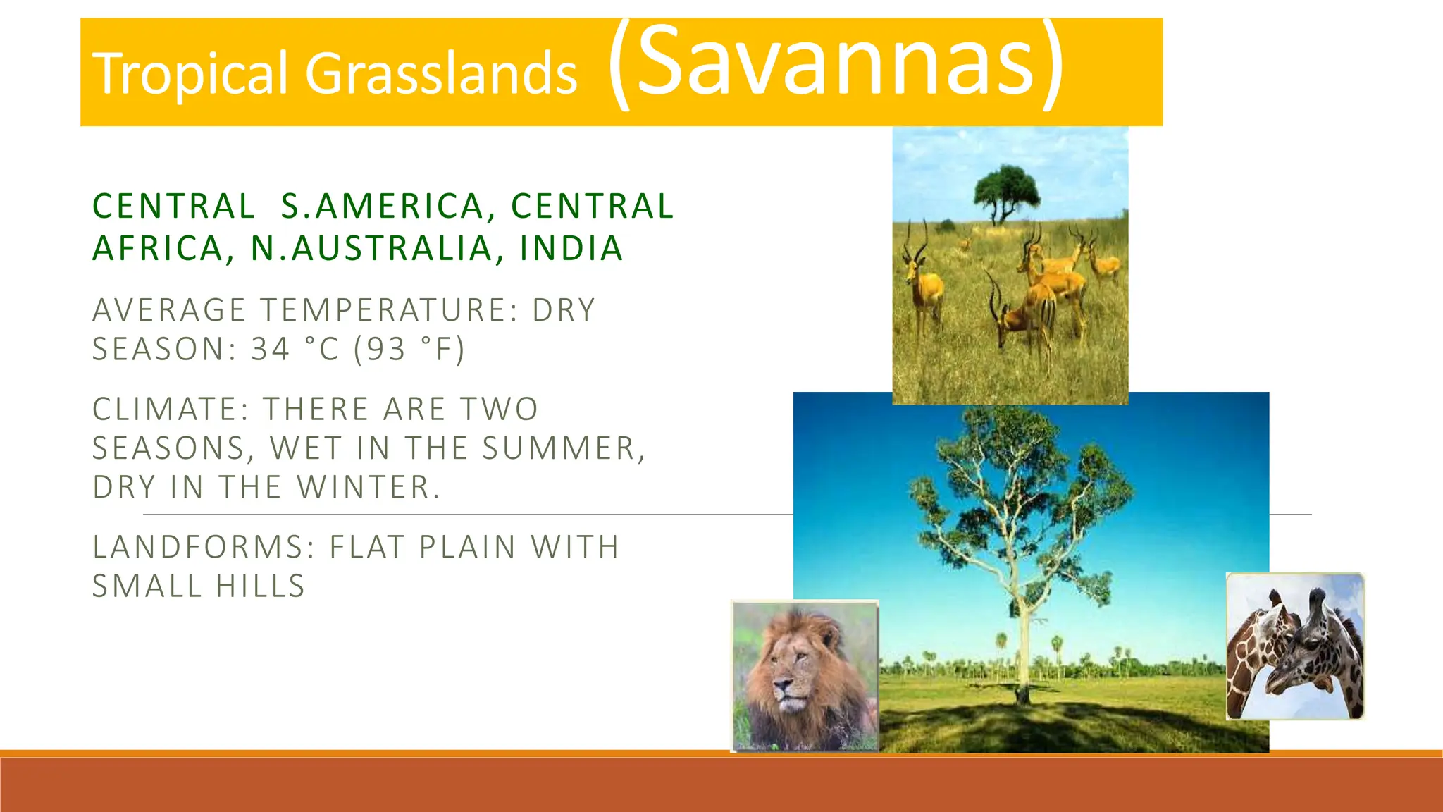 Terrestrial Biomes.ppt