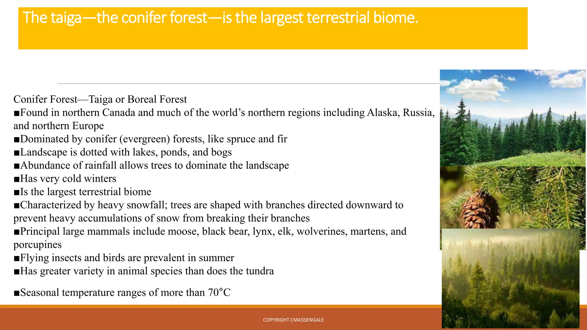Terrestrial Biomes.ppt