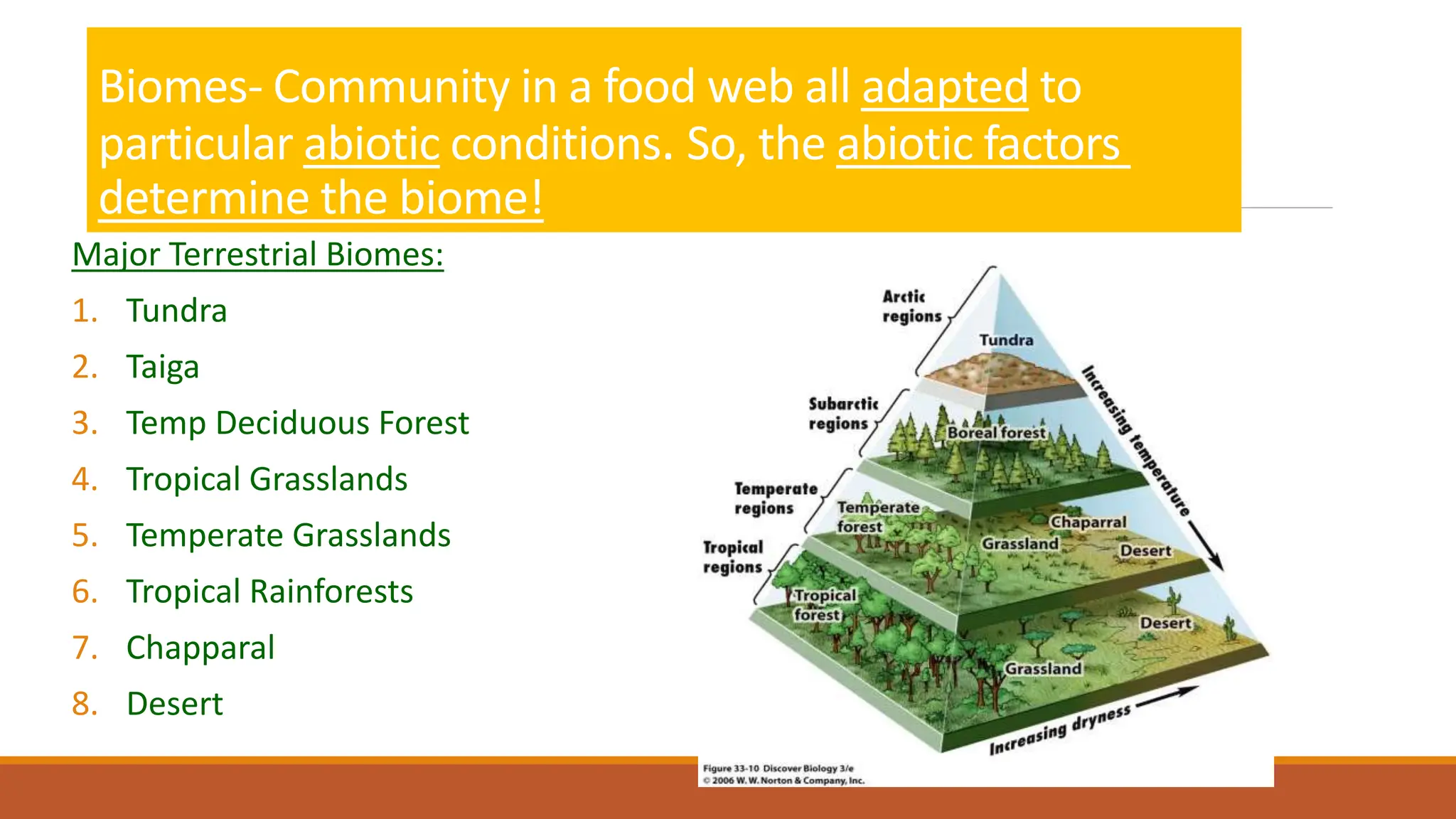 Terrestrial Biomes.ppt