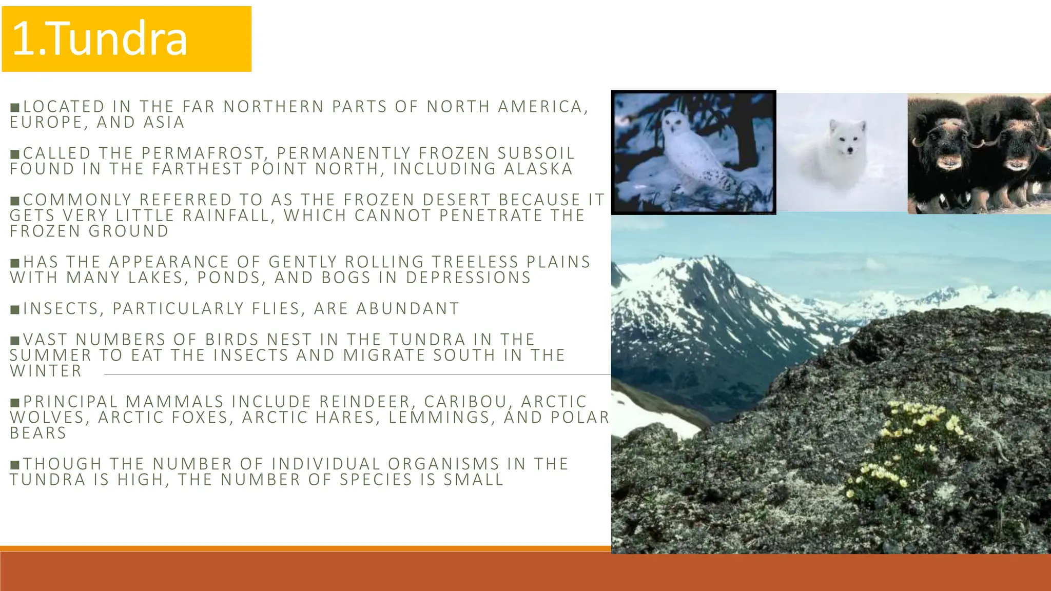 Terrestrial Biomes.ppt