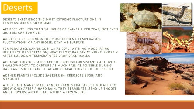 Terrestrial Biomes.ppt