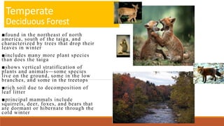Terrestrial Biomes.ppt