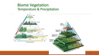 Terrestrial Biomes.ppt