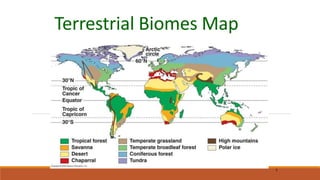 Terrestrial Biomes.ppt